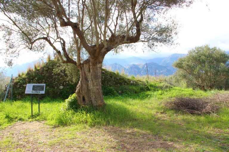 The Unforgettable Ancient Sparta. Are still there ruins of Sparta ...